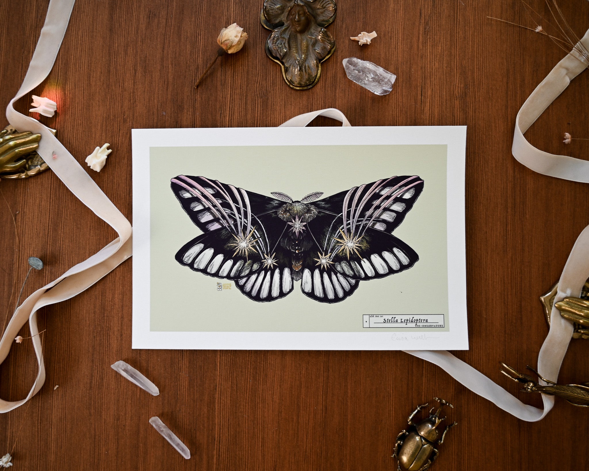 HookieDuke | Star Moth | Mini Art Print